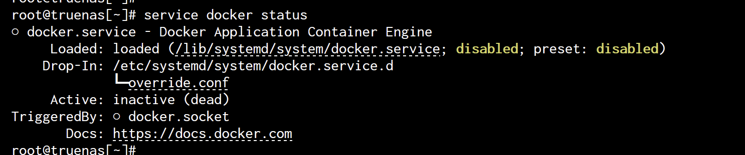 TrueNAS SCALE 24.10升级和docker配置|超时空蛋蛋