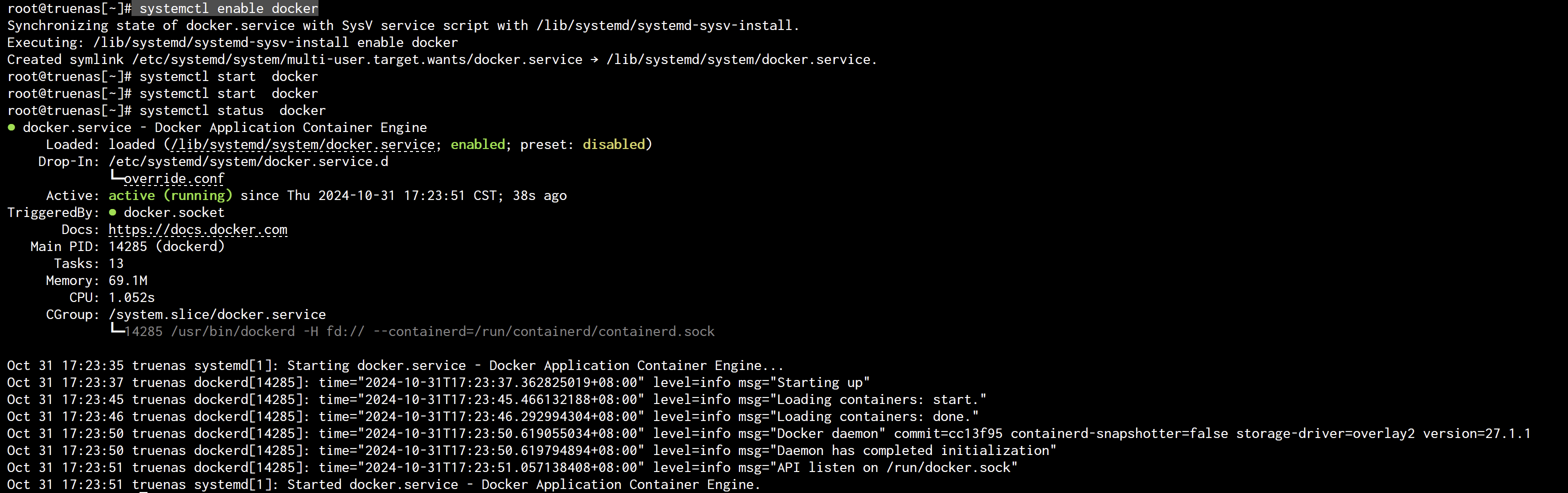 TrueNAS SCALE 24.10升级和docker配置|超时空蛋蛋